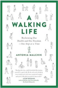The Power of Walking: 5 Must-Read Books on Walking